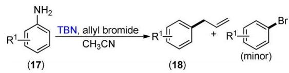 (PDF) tert ‐Butyl Nitrite (TBN), a Multitasking Reagent in Organic ...