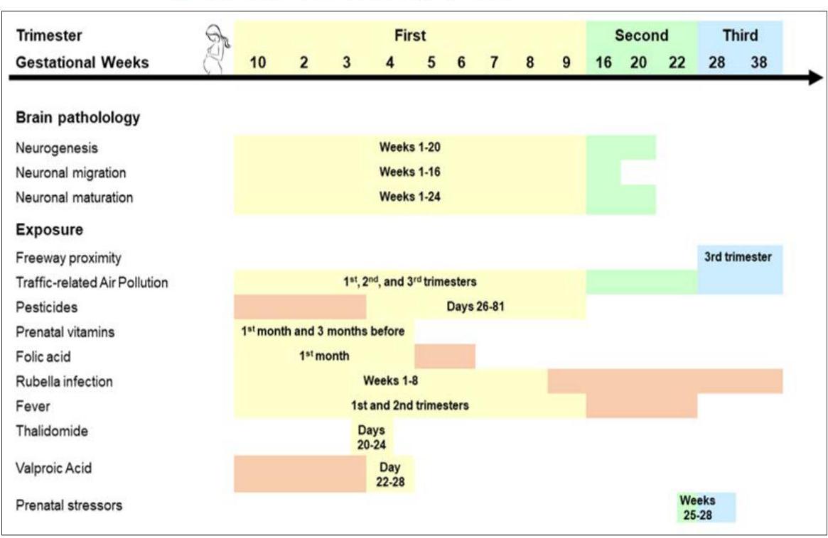 (PDF) Autism Spectrum Disorder: History, Concept and Future Perspective