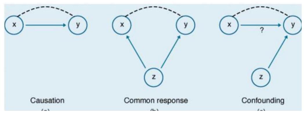 (PDF) Exploring Correlation and Causation: A Comparative Study and Real ...