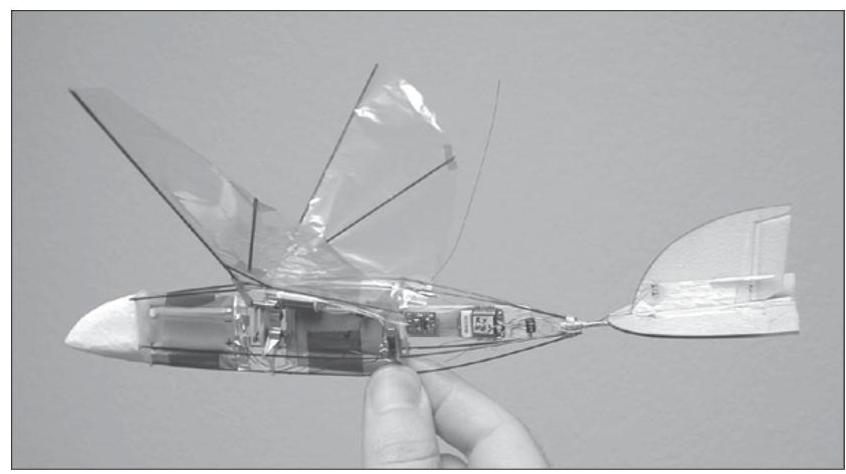 (PDF) Flapping-wing micro air vehicles