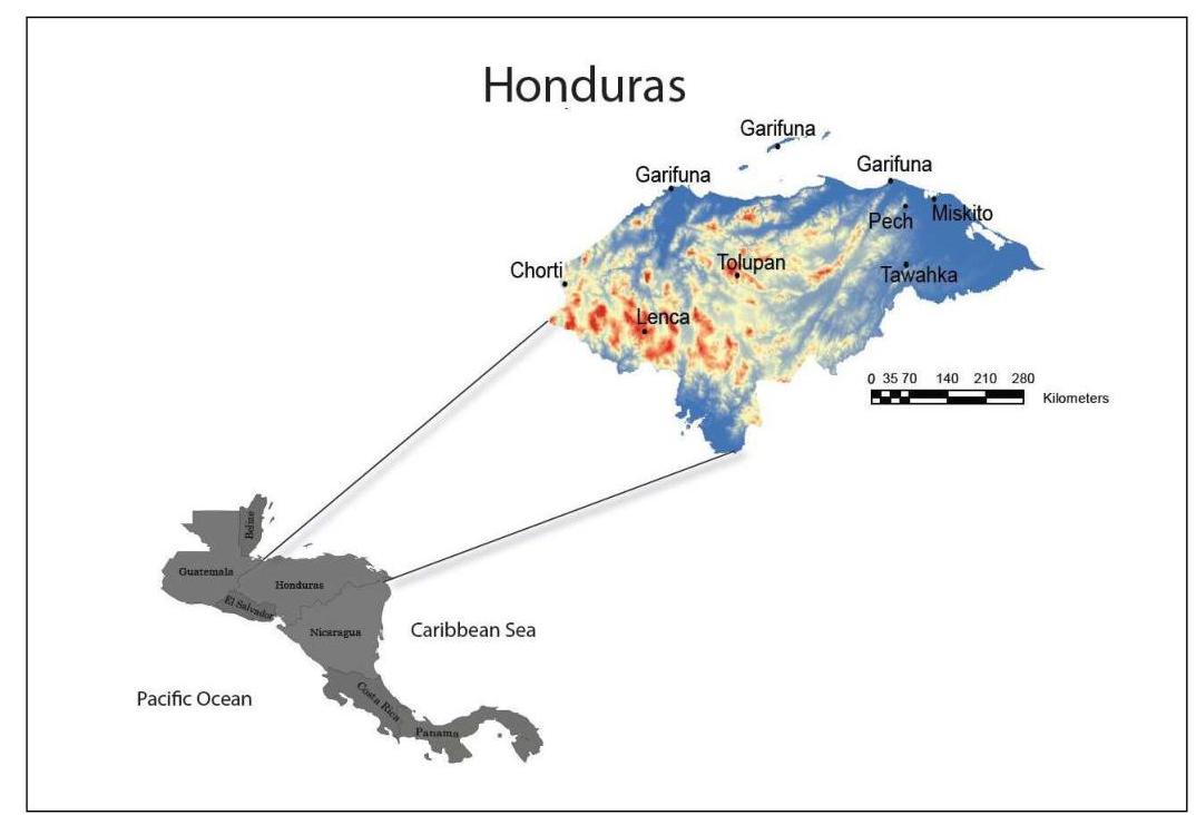 (PDF) The importance of anthropological genetics research in Honduras ...