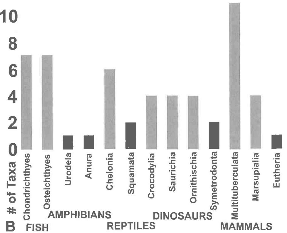 (PDF) New basal centrosaurine ceratopsian skulls from the Wahweap ...