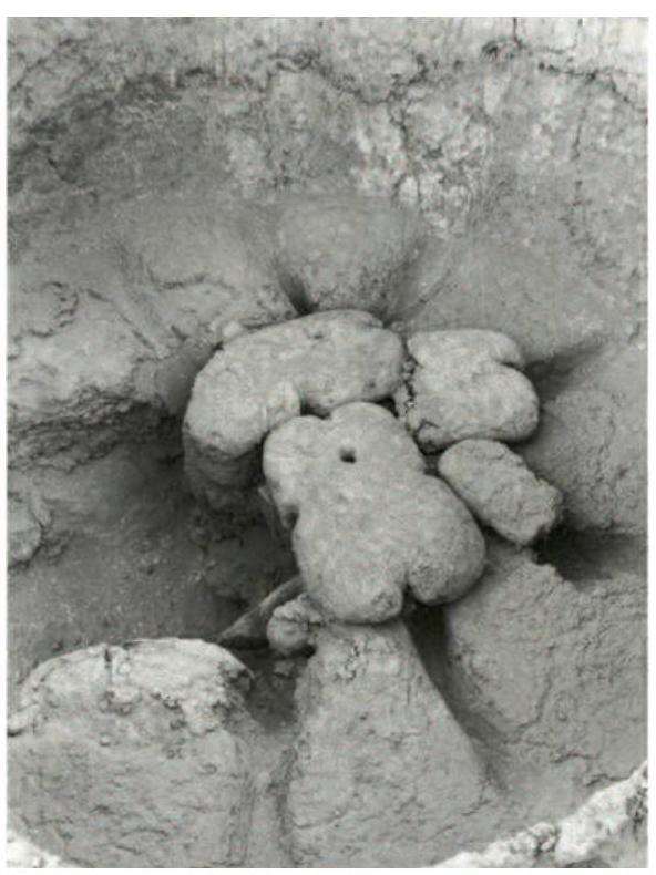 (PDF) Indian Chalcolithic Culture: Aspects of Craft and Technology