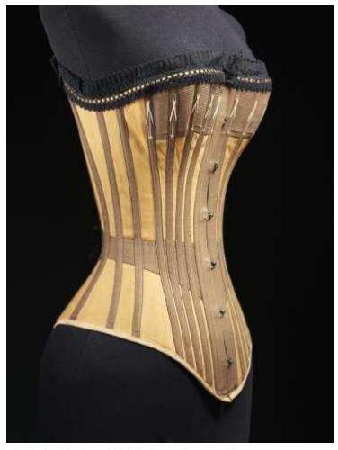 (PDF) Effects of Long Term Corseting on the Female Skeleton: A ...