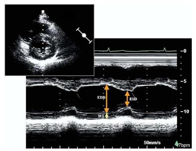 (PDF) Recommendations for Chamber Quantification: A Report from the ...