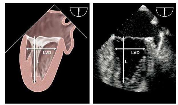 (PDF) Recommendations for Chamber Quantification: A Report from the ...