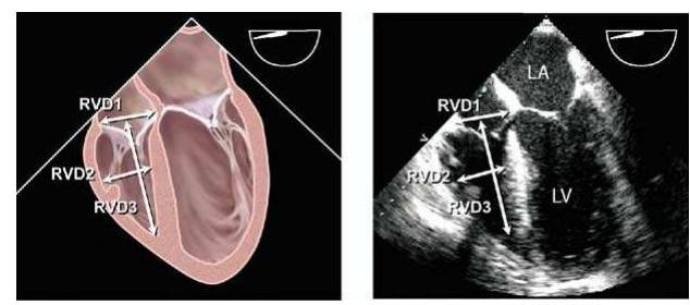 (PDF) Recommendations for Chamber Quantification: A Report from the ...