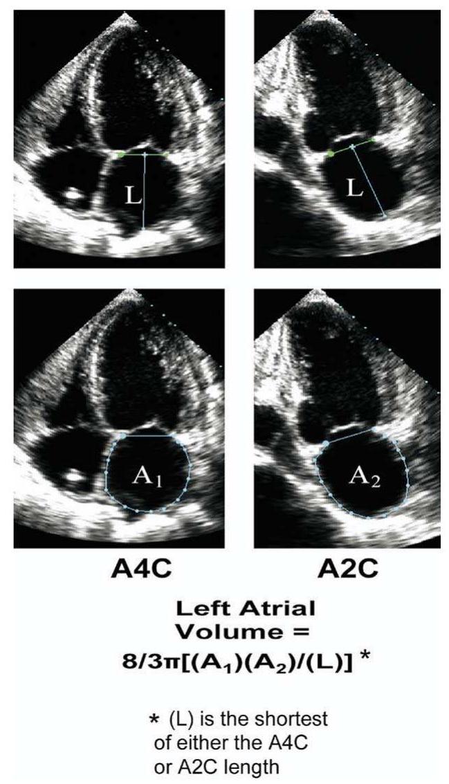 (PDF) Recommendations for Chamber Quantification: A Report from the ...