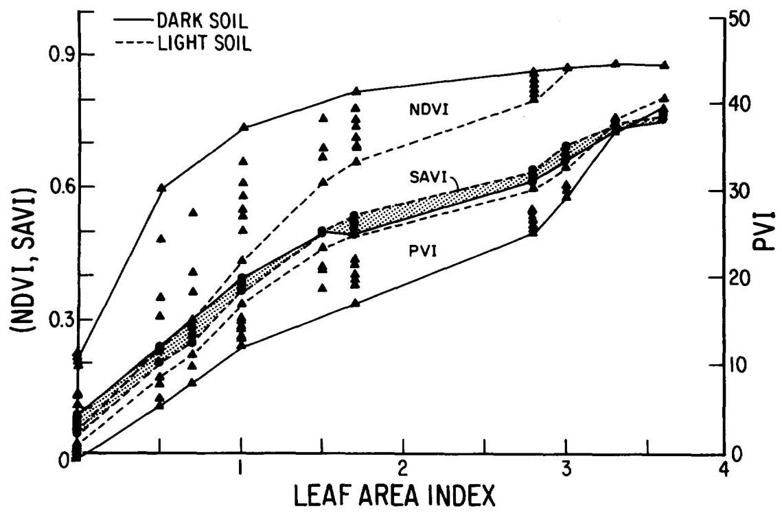 (PDF) A soil-adjusted vegetation index (SAVI)