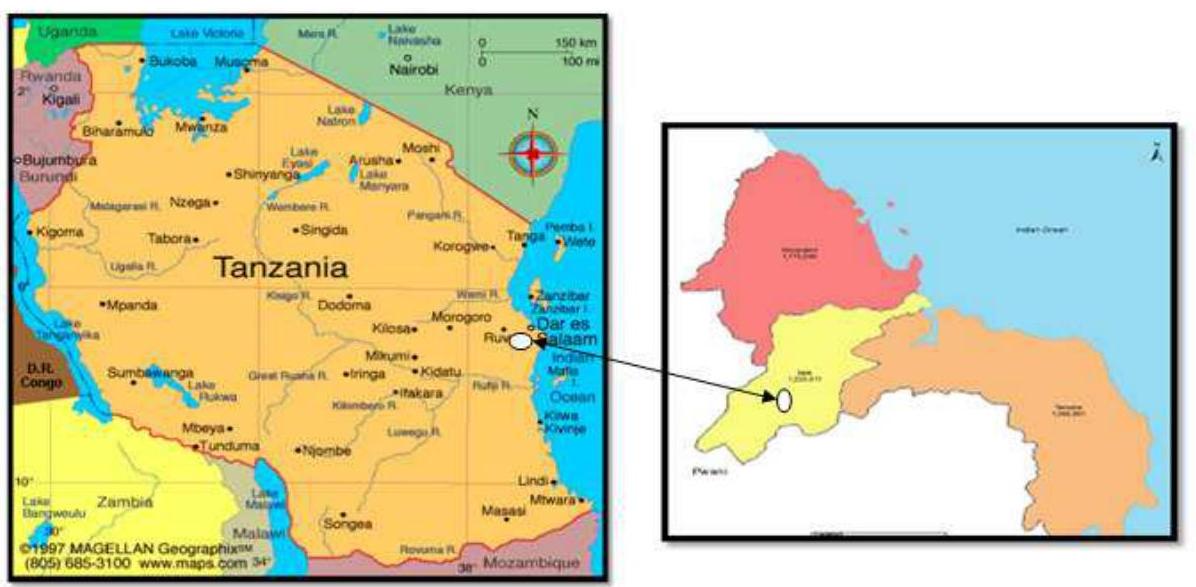 (PDF) Information and Knowledge Management Limitations of E-Government ...