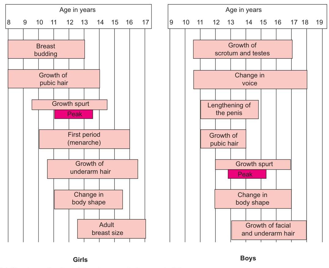 (PDF) Precocious puberty: diagnosis and management