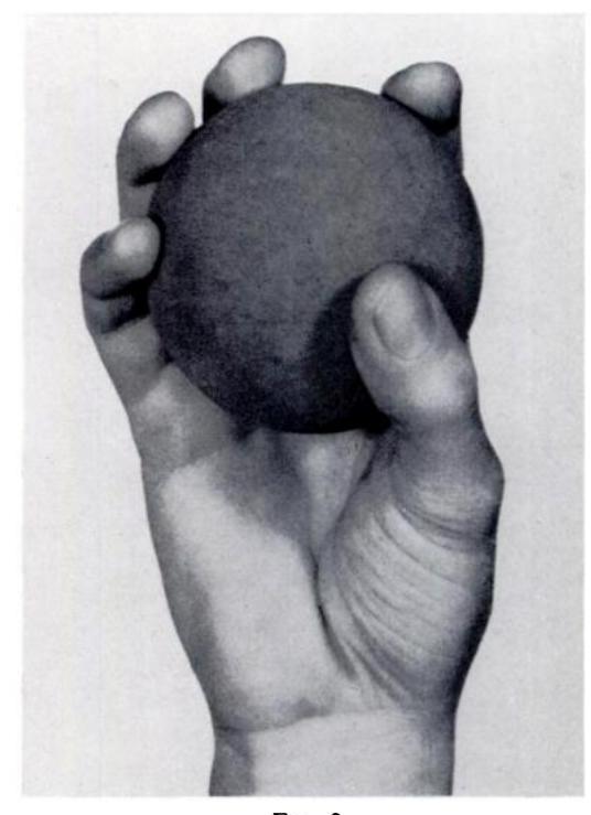 (PDF) The prehensile movements of the human hand