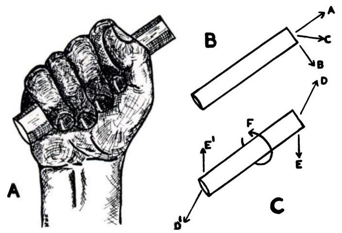 (PDF) The prehensile movements of the human hand