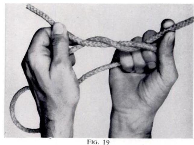 (PDF) The prehensile movements of the human hand