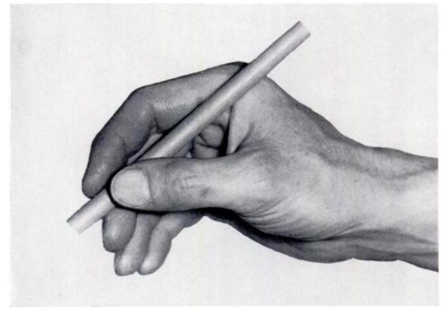 (PDF) The prehensile movements of the human hand