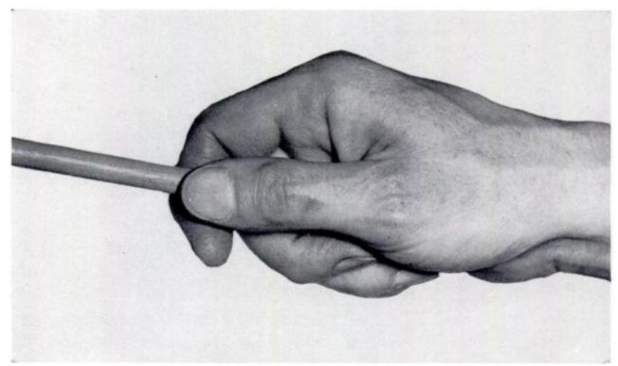 (PDF) The prehensile movements of the human hand
