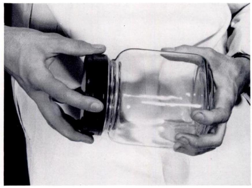 (PDF) The prehensile movements of the human hand