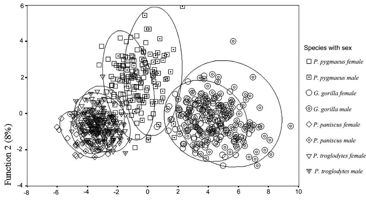 (PDF) Patterns of molar variation in great apes and their implications ...